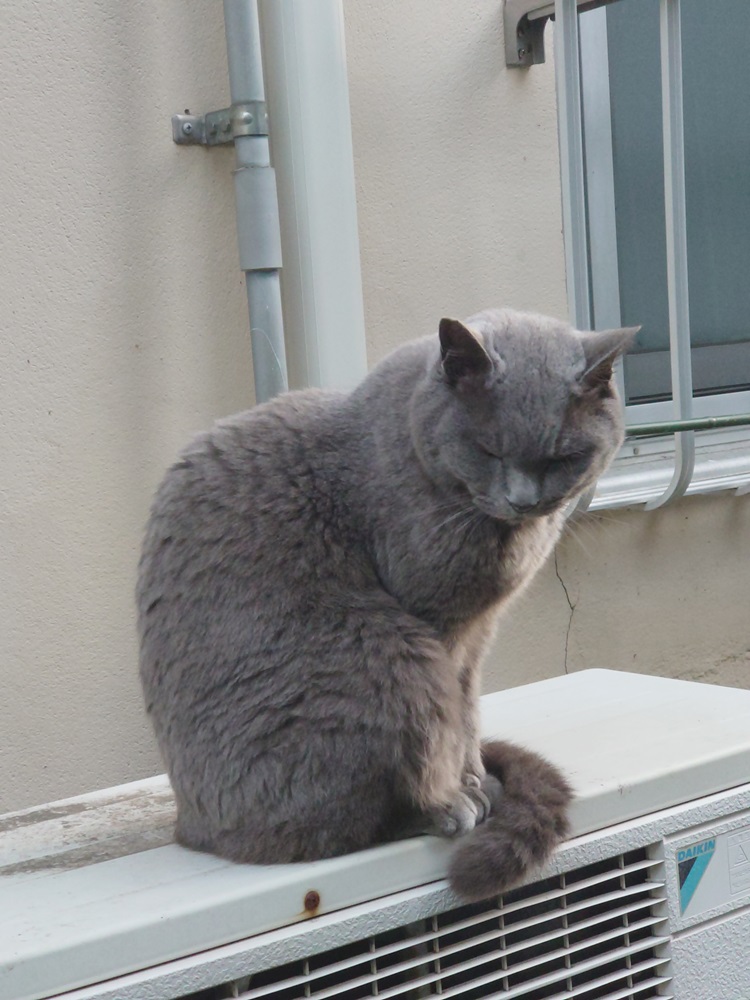 2024年1月22日 通勤のおとも | 技術評論社