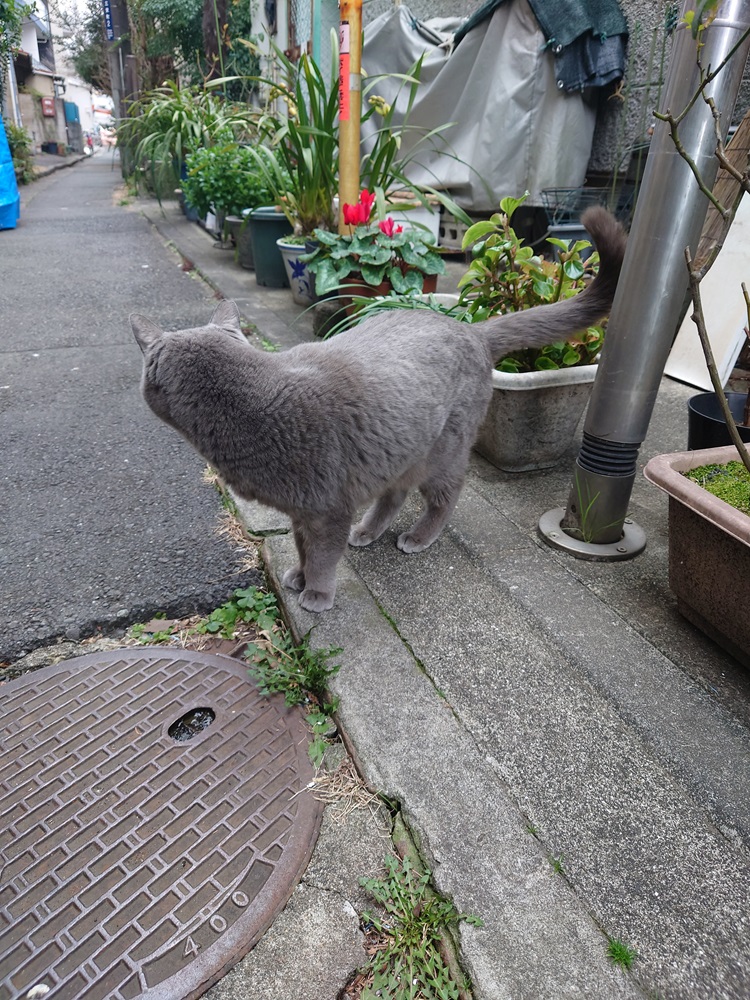 2024年3月13日 2の付く日ではないけれど | 技術評論社