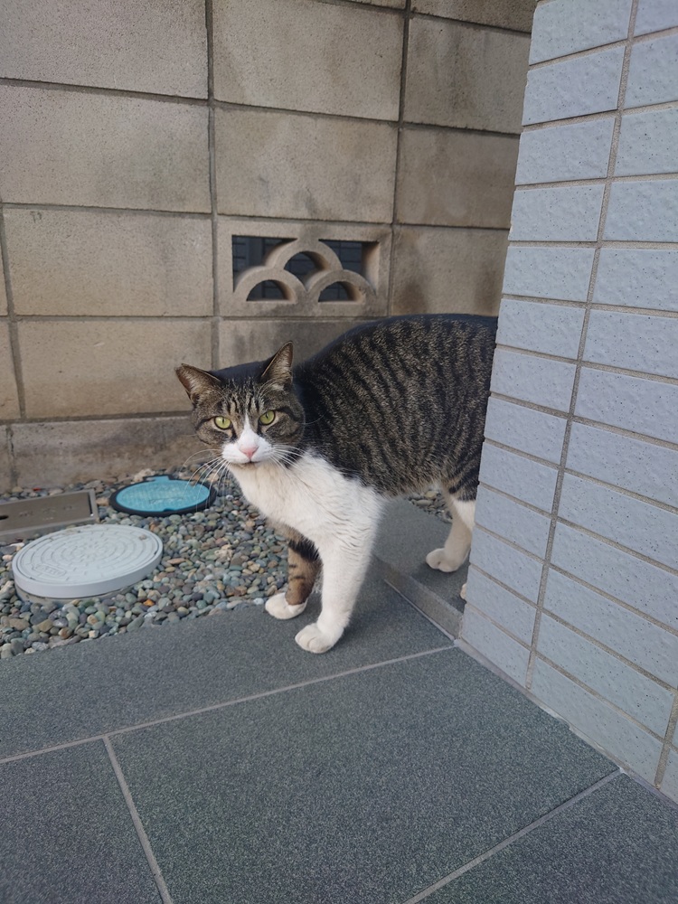 2025年4月2日 出勤中 | 技術評論社