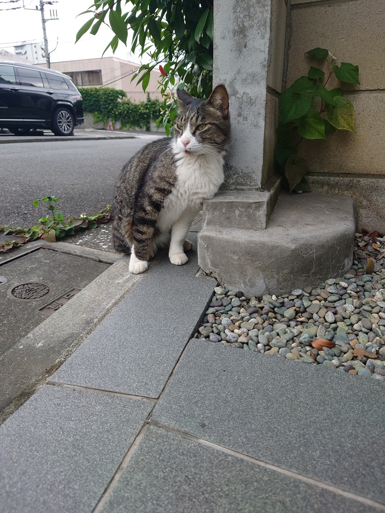 2025年6月2日 会社までの長い道のり | 技術評論社